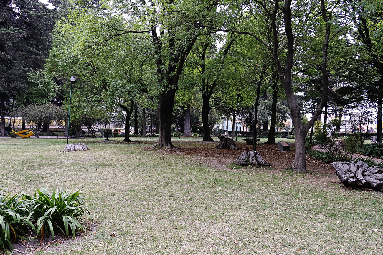 Invitan a disfrutar los parques y jardines emblemáticos de Toluca | El ...
