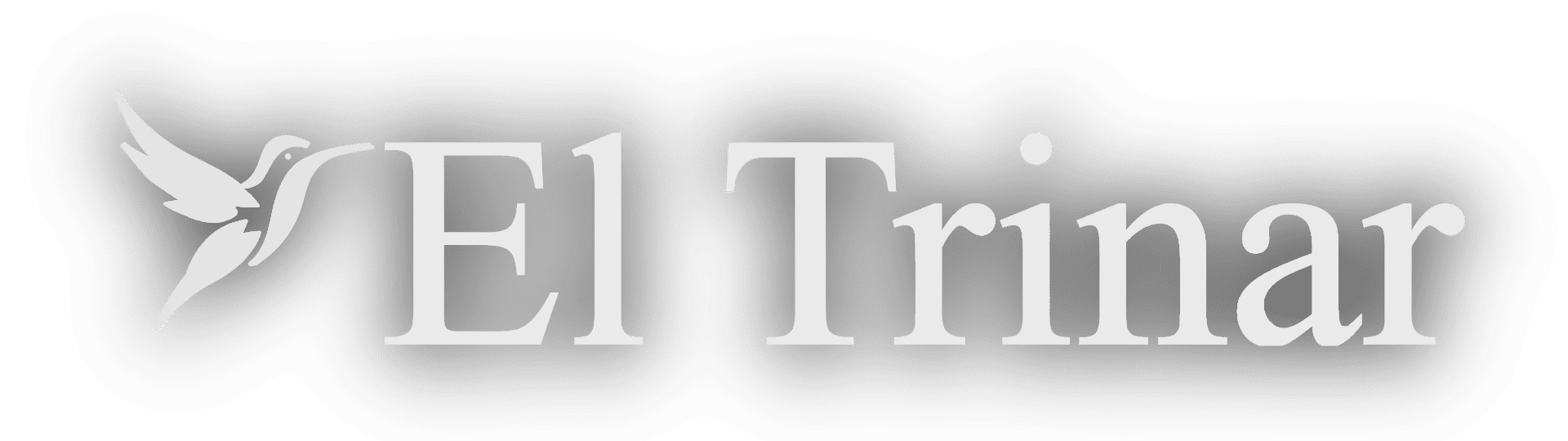 El Trinar | Generando una cultura de información