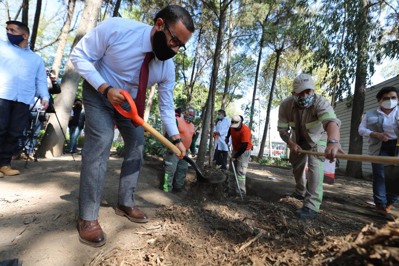 Siembran Ahuehuete de la Esperanza en Alcaldía Miguel Hidalgo | El Trinar